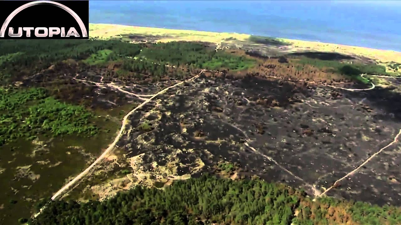 Utopia, Fox USA acquista i diritti del nuovo reality show | CineTivu